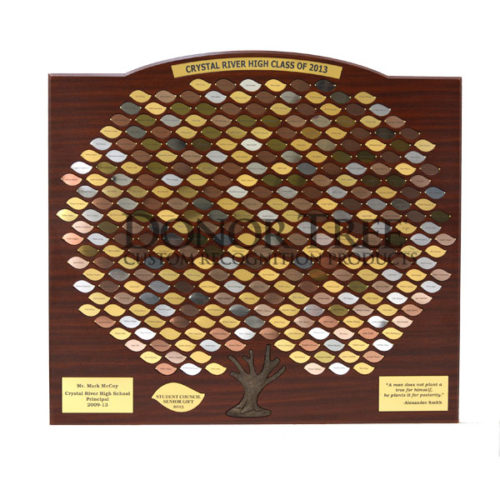 Tree of Life Plaques and Memorials from Donor Tree